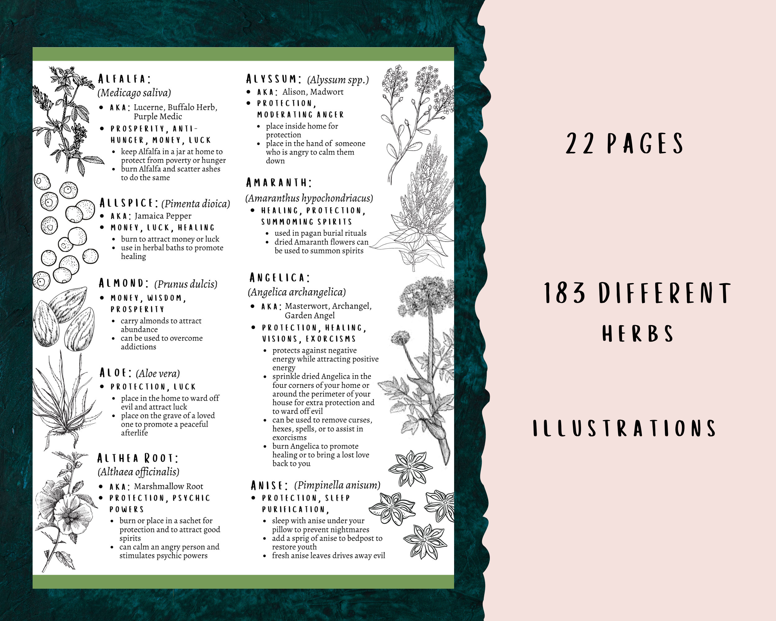Herbal Magic Guide Printable Grimoire Pages, Wiccan Herbs Cheat Sheet for Book of Shadows - Etsy