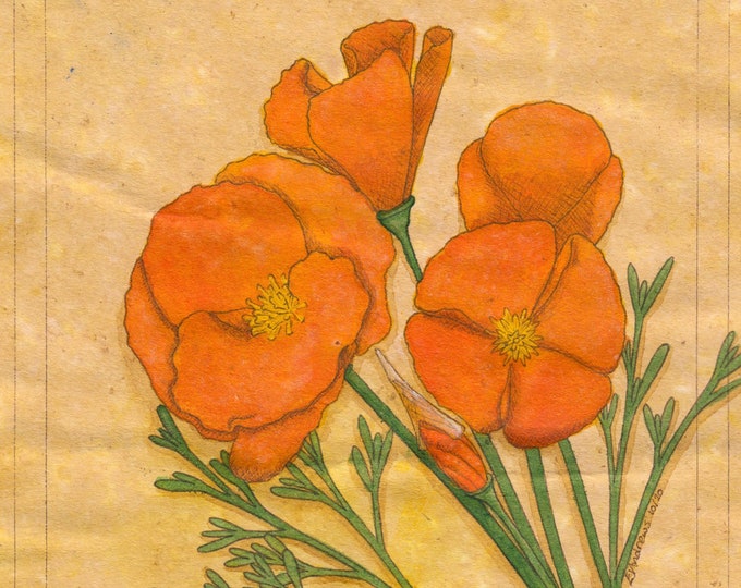 California Poppy Print - Etsy
