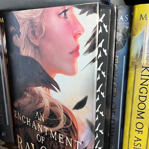 Six of Crows Duology Stenciled/sprayed Edges - Etsy