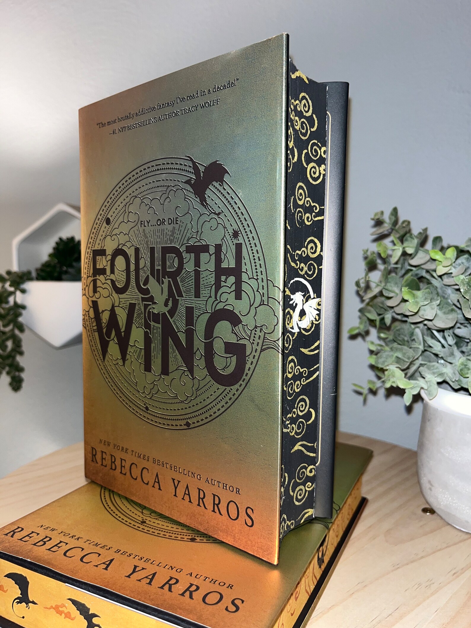 Fourth Wing Sprayed and Stenciled Edges - Etsy