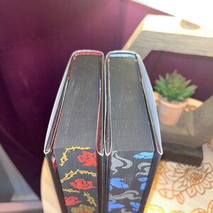 Lightlark Series Sprayed and Stenciled Edges - Etsy