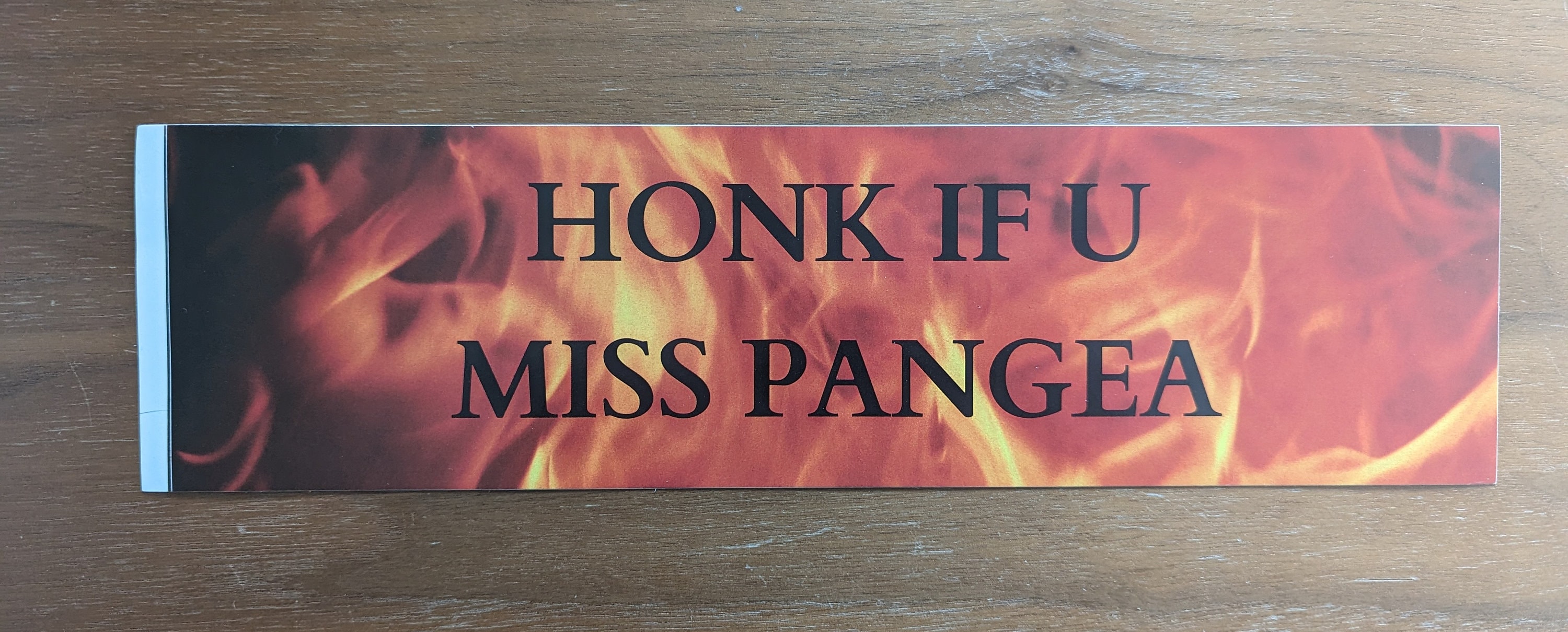 Honk If U Miss Pangea - Bumper Sticker - Etsy