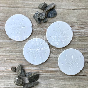 Sand Dollar Coasters/coasters/beach Coasters - Etsy