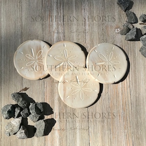 Sand Dollar Coasters/coasters/beach Coasters - Etsy