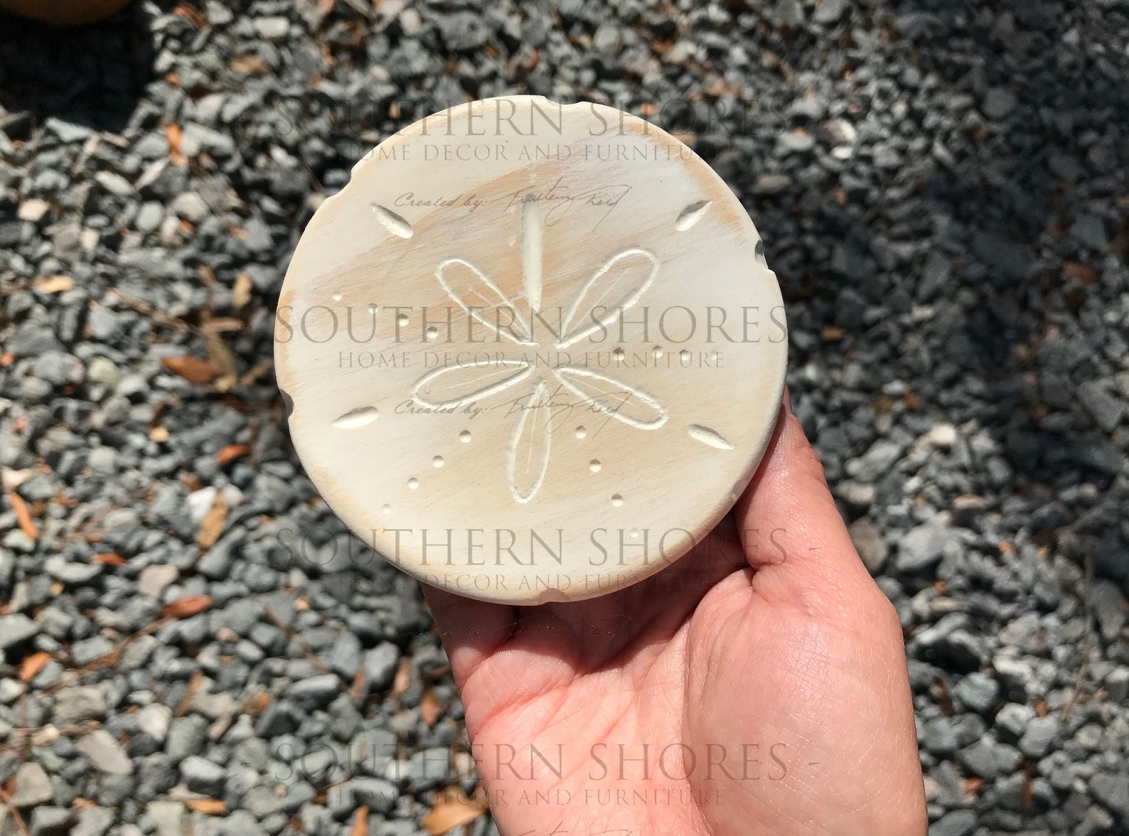 Sand Dollar Coasters/coasters/beach Coasters - Etsy