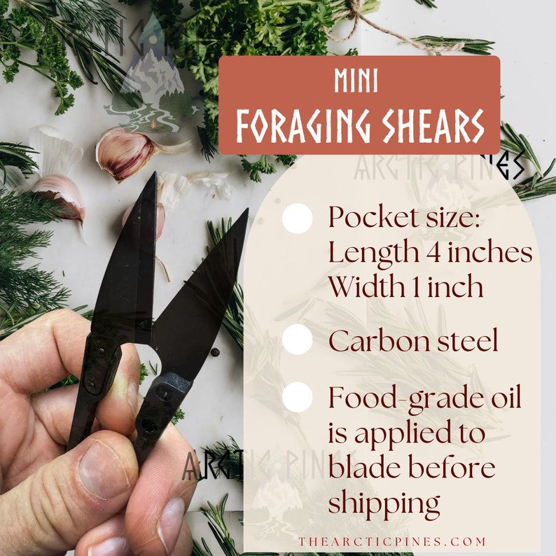 Mini Foraging Shears 4 Pruning Shears Foraging Tools - Etsy