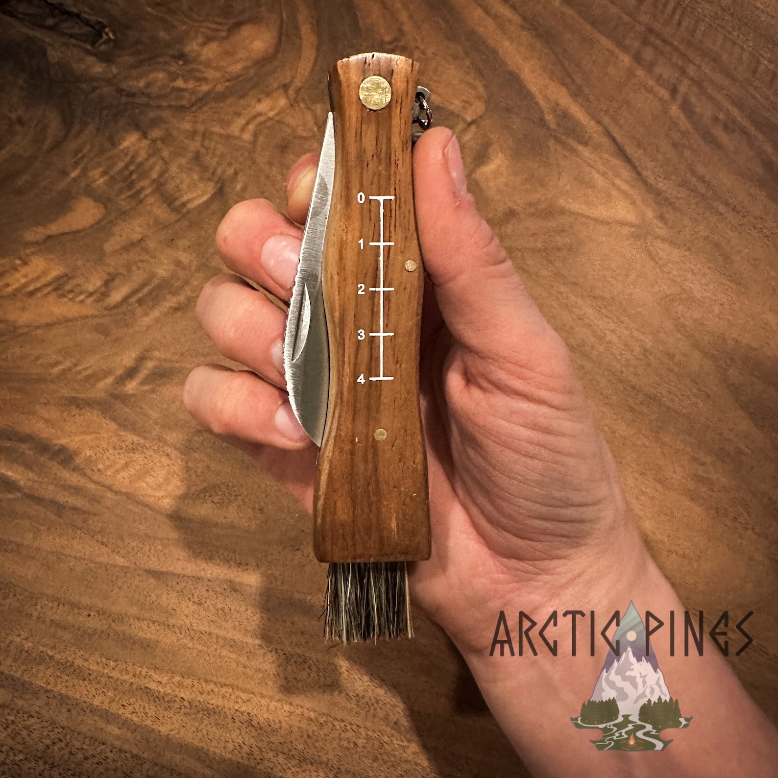 Mushroom Knife, Mushroom Brush, Foraging Tools, Foraging Knife ...
