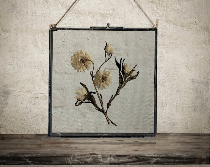 Dried Pressed Flowers in Hanging Glass Frame, Framed Dried Flowers ...