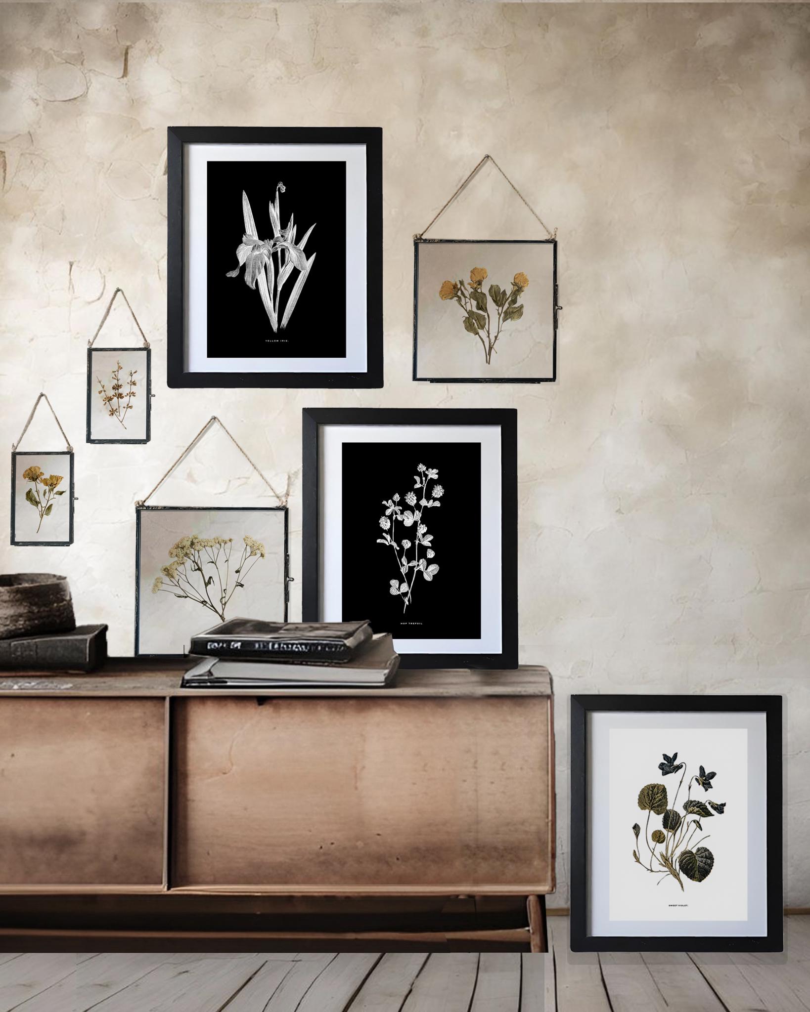 Vintage Herbarium Pressed Flower Frame, Preserved Flowers, Rustic Home ...