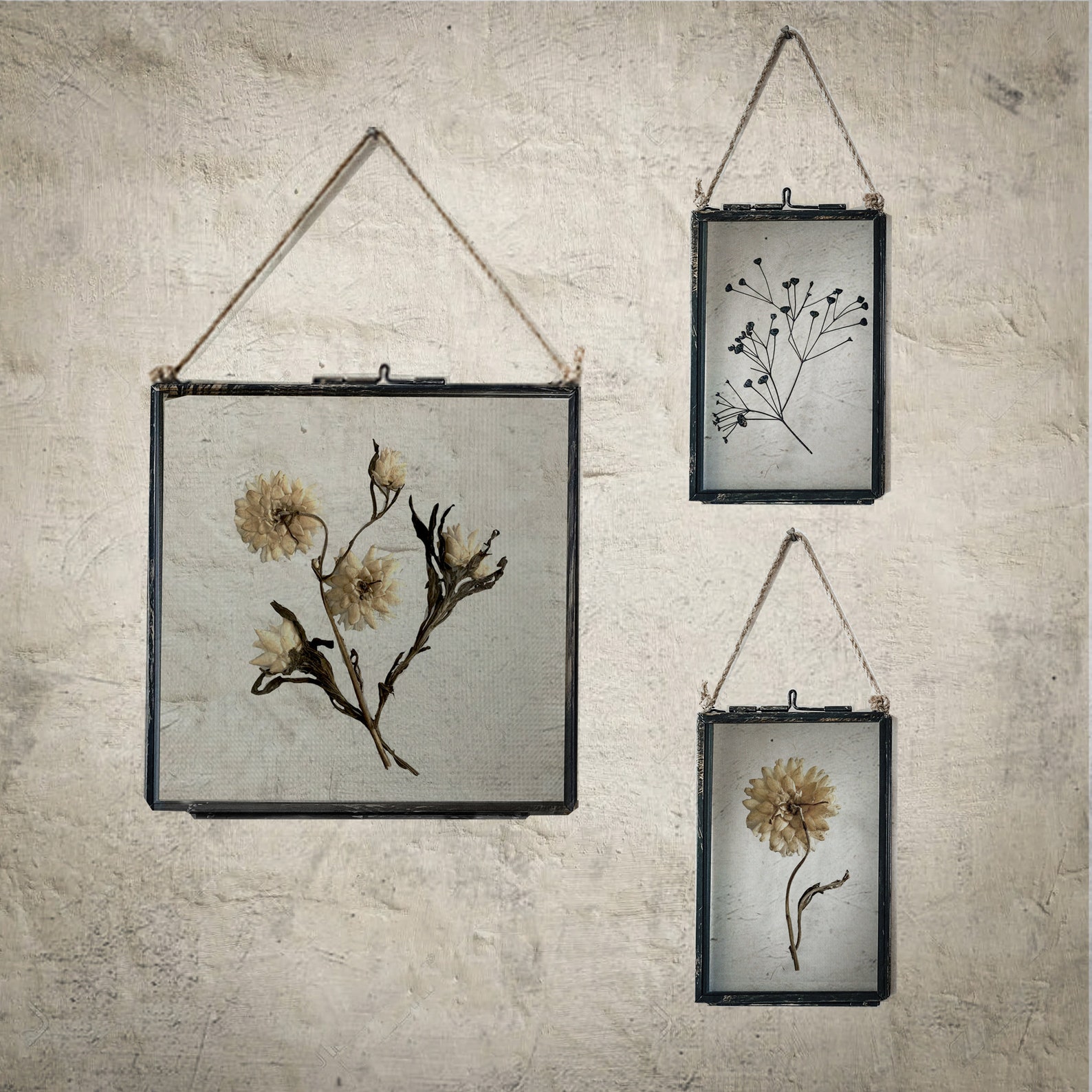 Dried Pressed Flowers in Hanging Glass Frame Framed Dried - Etsy