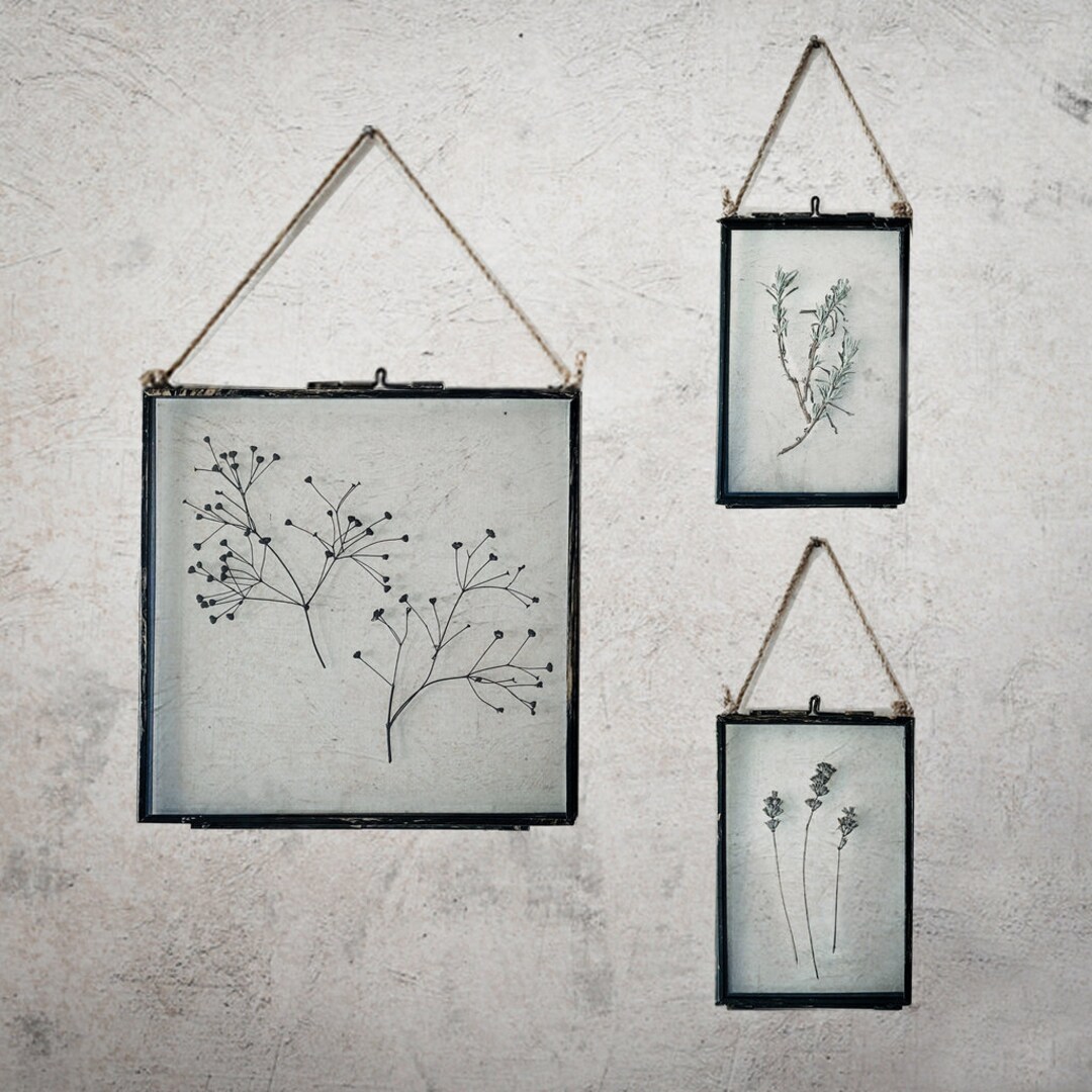 Herbarium Picture Frame Set, 3 Piece Wall Art, Pressed Flower Frame ...