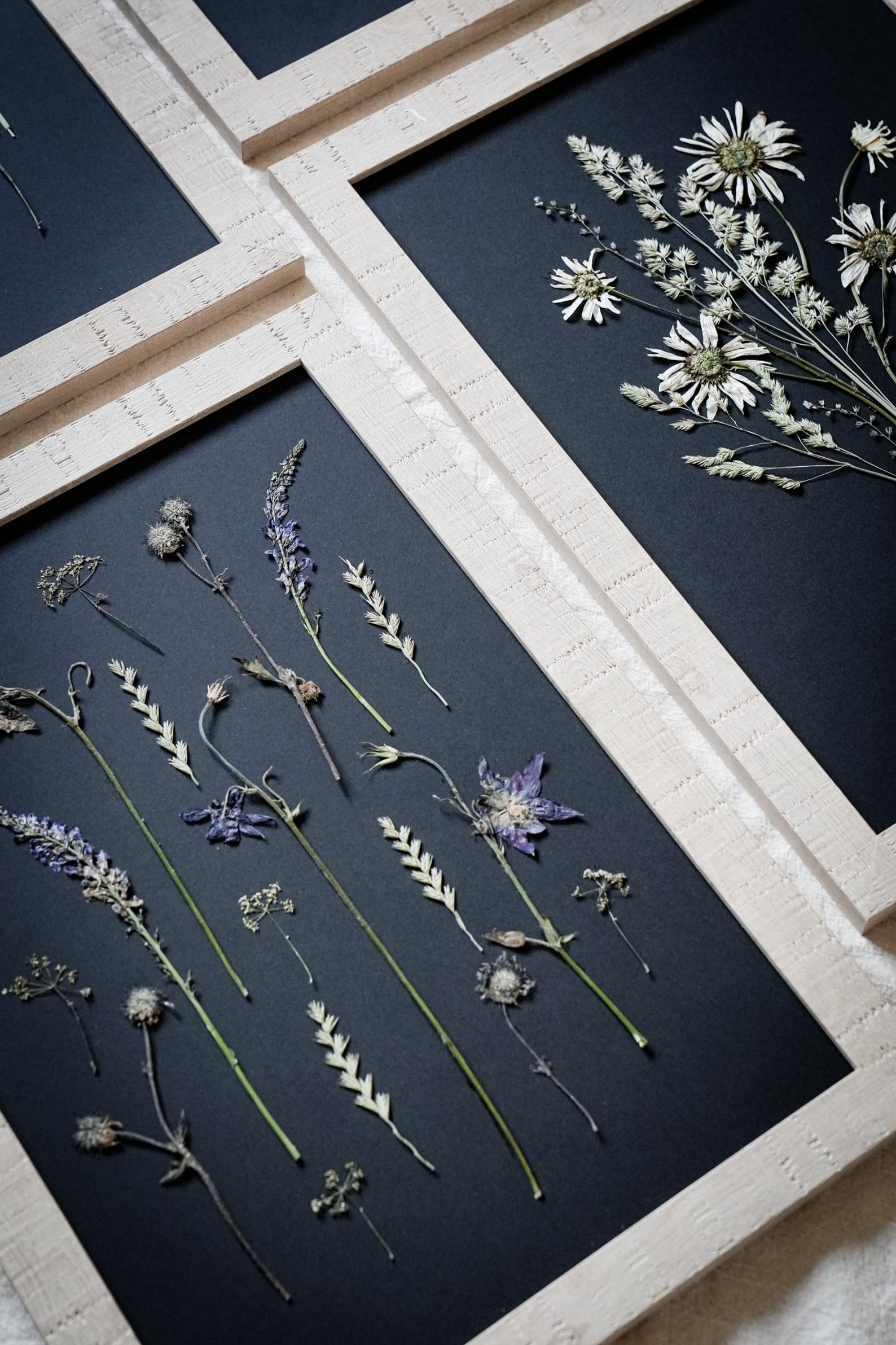 Golden Hour A3 Pressed Flower Frame | Exquisite Preserved Botanical ...