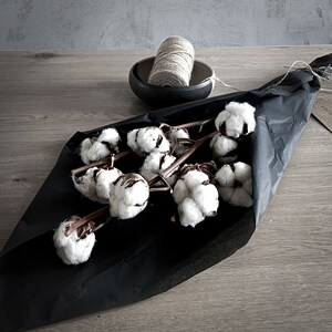 Fluffy Dried Cotton Stems, Real Dried Cotton Flower Stems, Housewarming ...