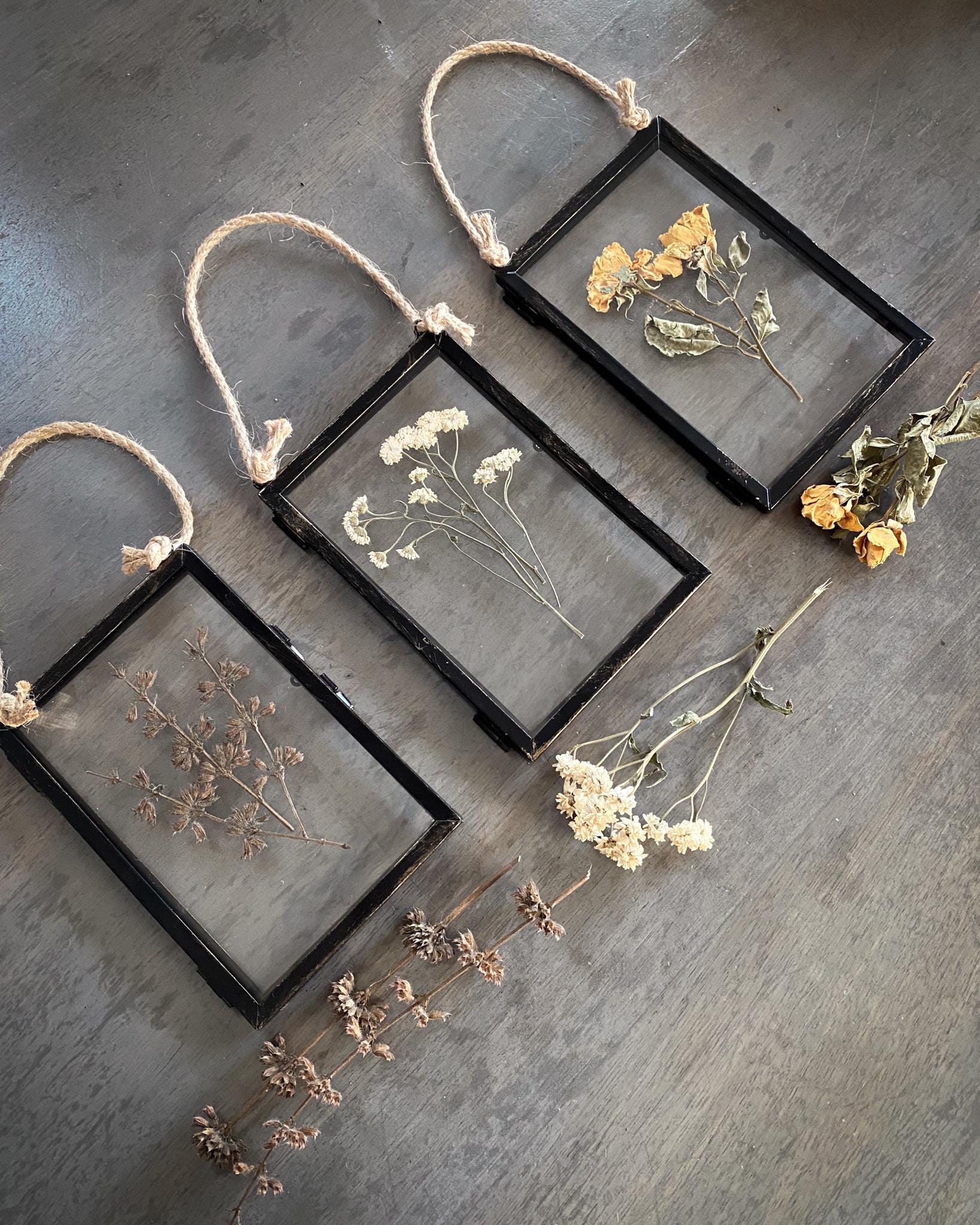 Vintage Herbarium Pressed Flower Frame, Preserved Flowers, Rustic Home ...