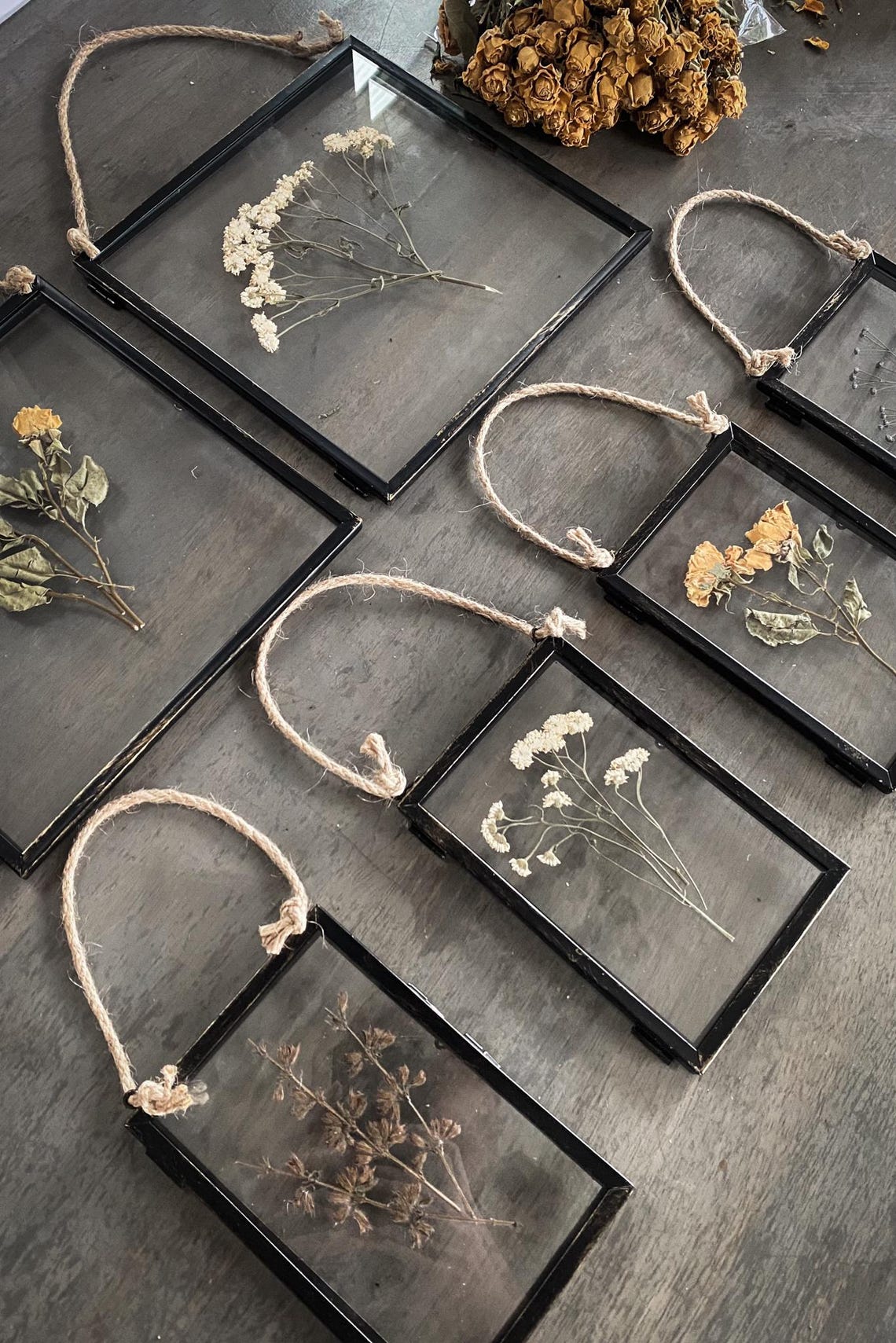 Vintage Herbarium Pressed Flower Frame, Preserved Flowers, Rustic Home ...