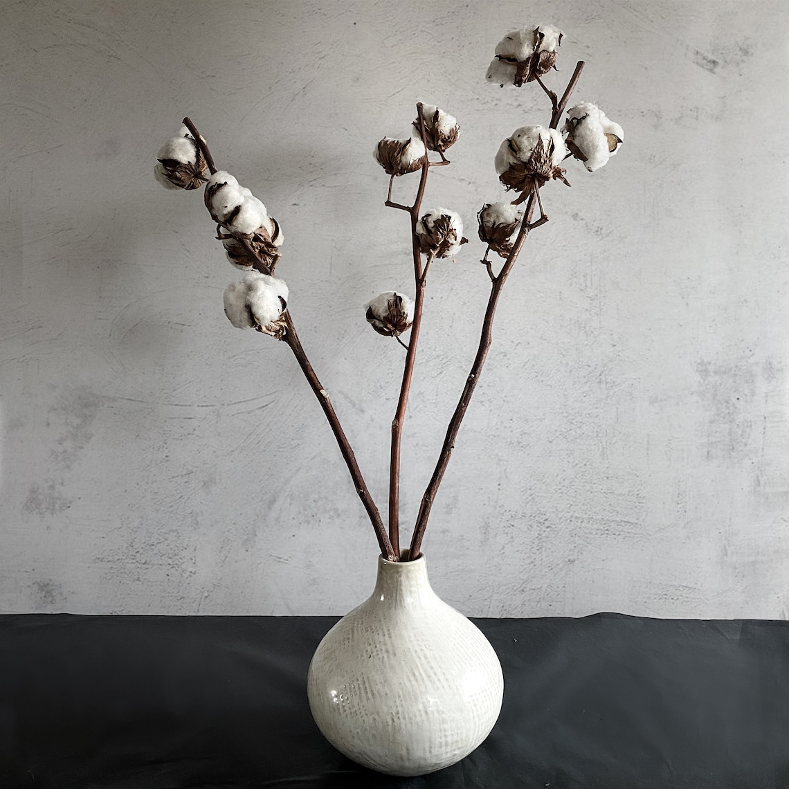 Fluffy Dried Cotton Stems, Real Dried Cotton Flower Stems, Housewarming ...