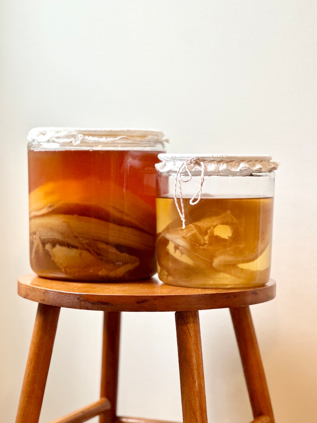 Kombucha Scoby | Mother Scoby | All Natural | Probiotic | Gut Health ...