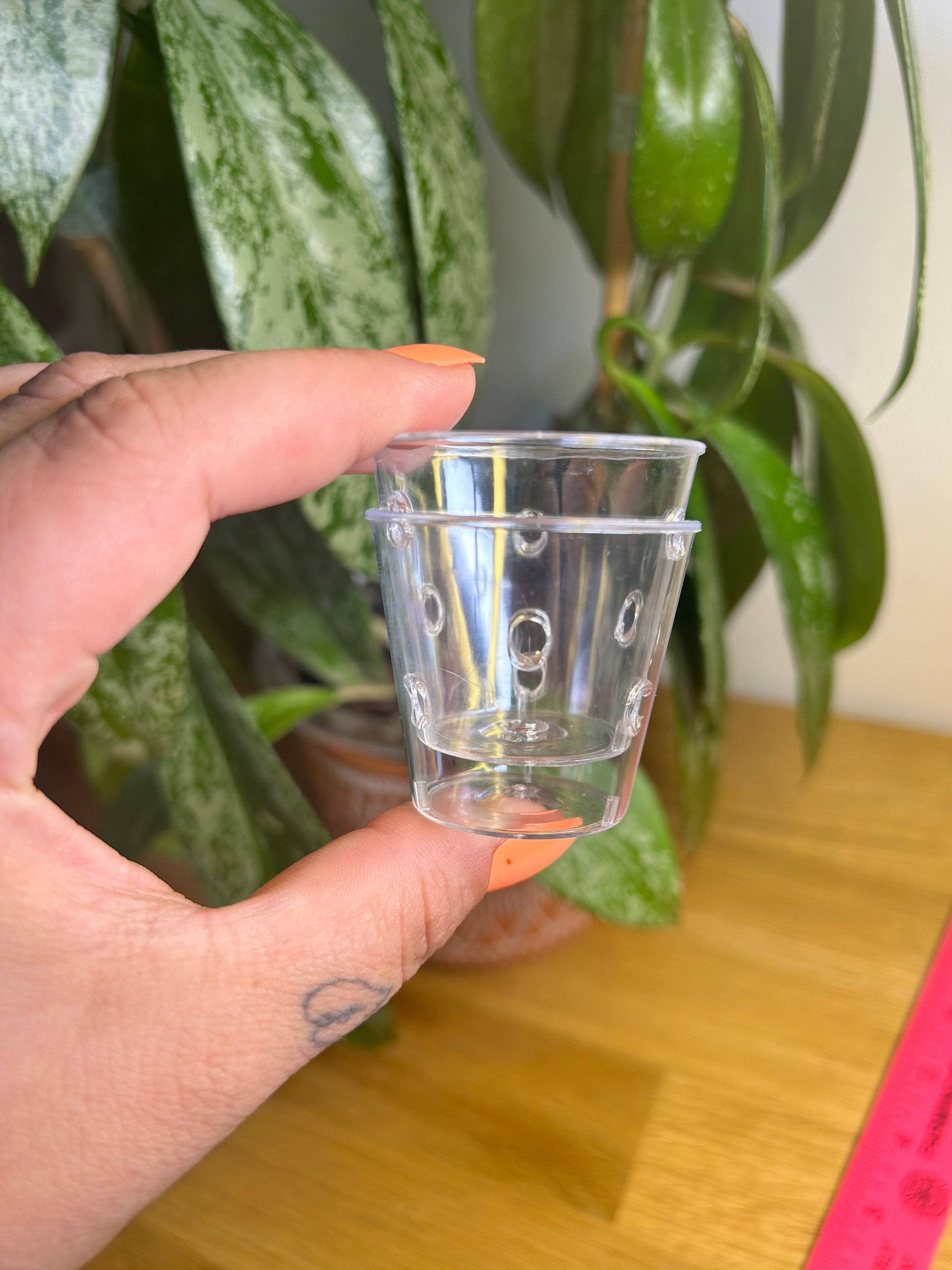 Handmade Hard Clear Plastic “orchid Pots” “kratky Pots” “semi ...