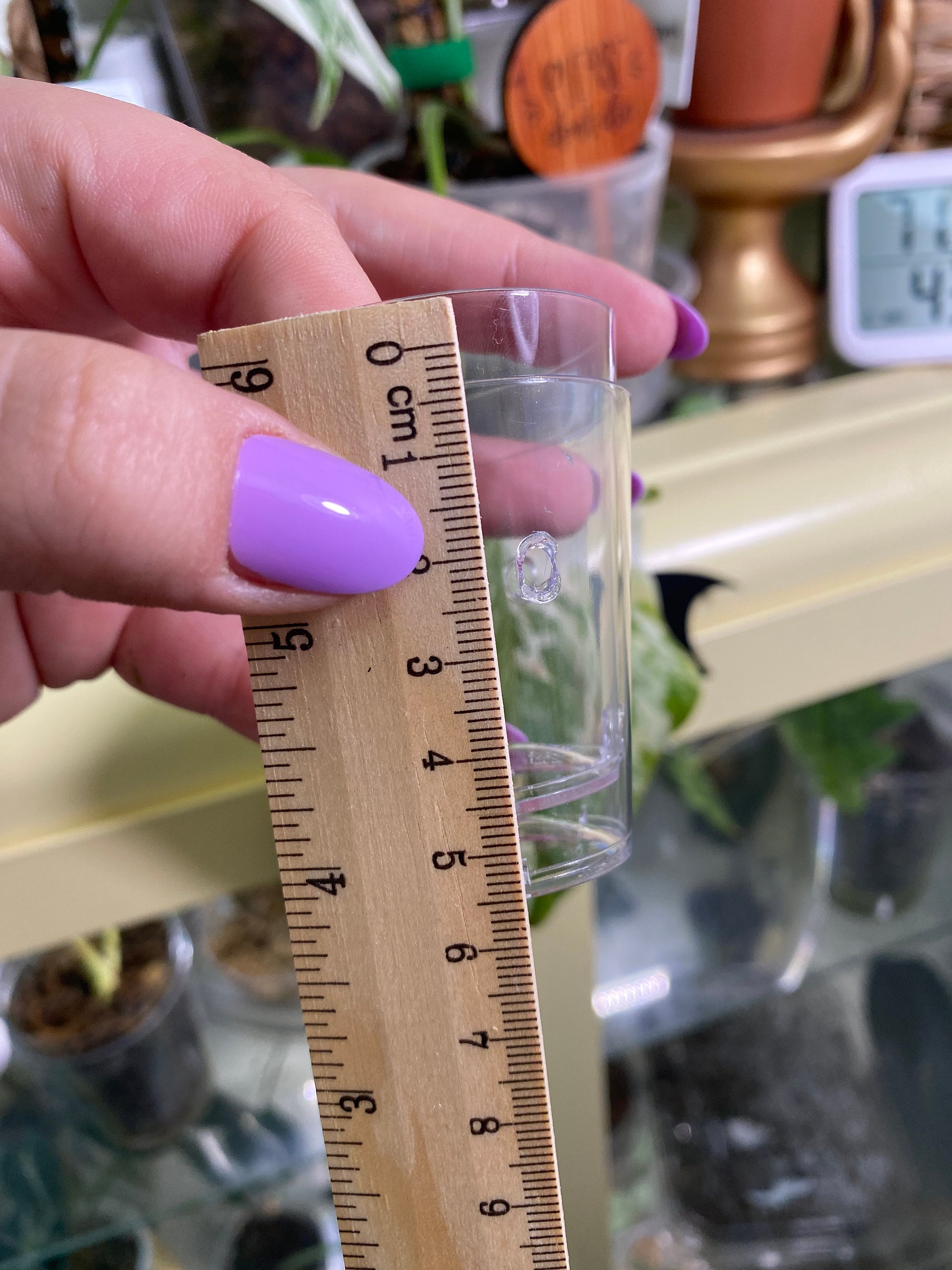 Handmade Hard Clear Plastic “orchid Pots” “kratky Pots” “semi ...
