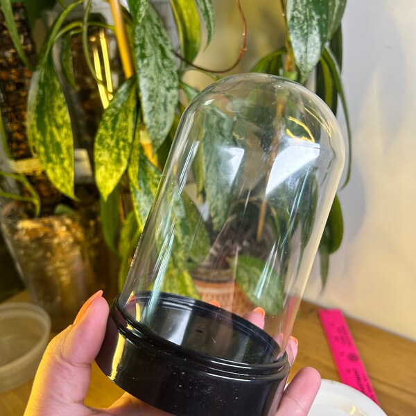 Mini Greenhouse - Etsy