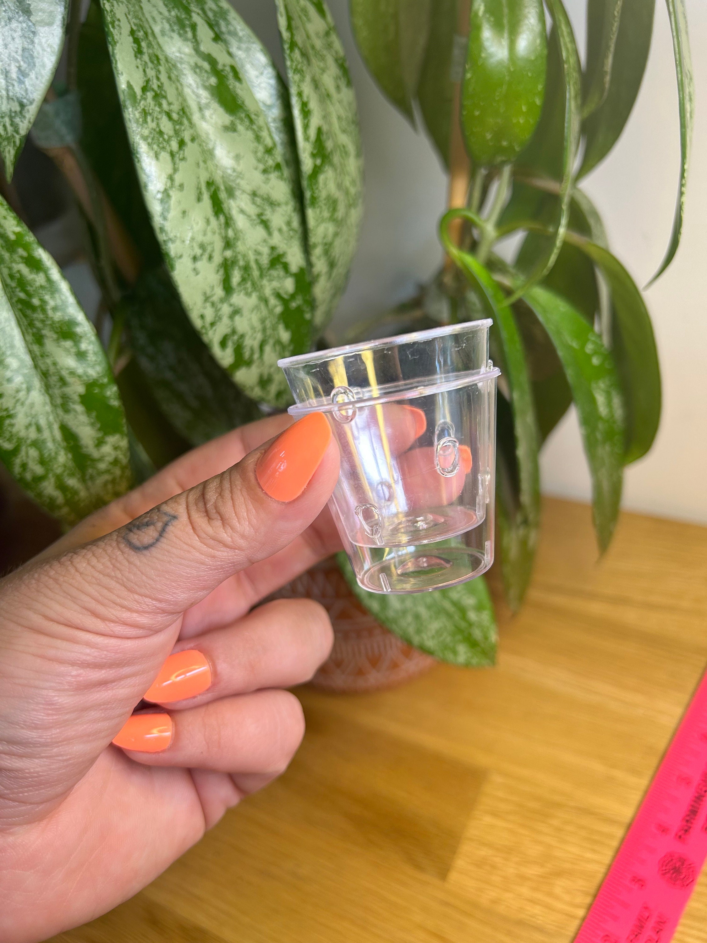 Handmade Hard Clear Plastic “orchid Pots” “kratky Pots” “semi ...