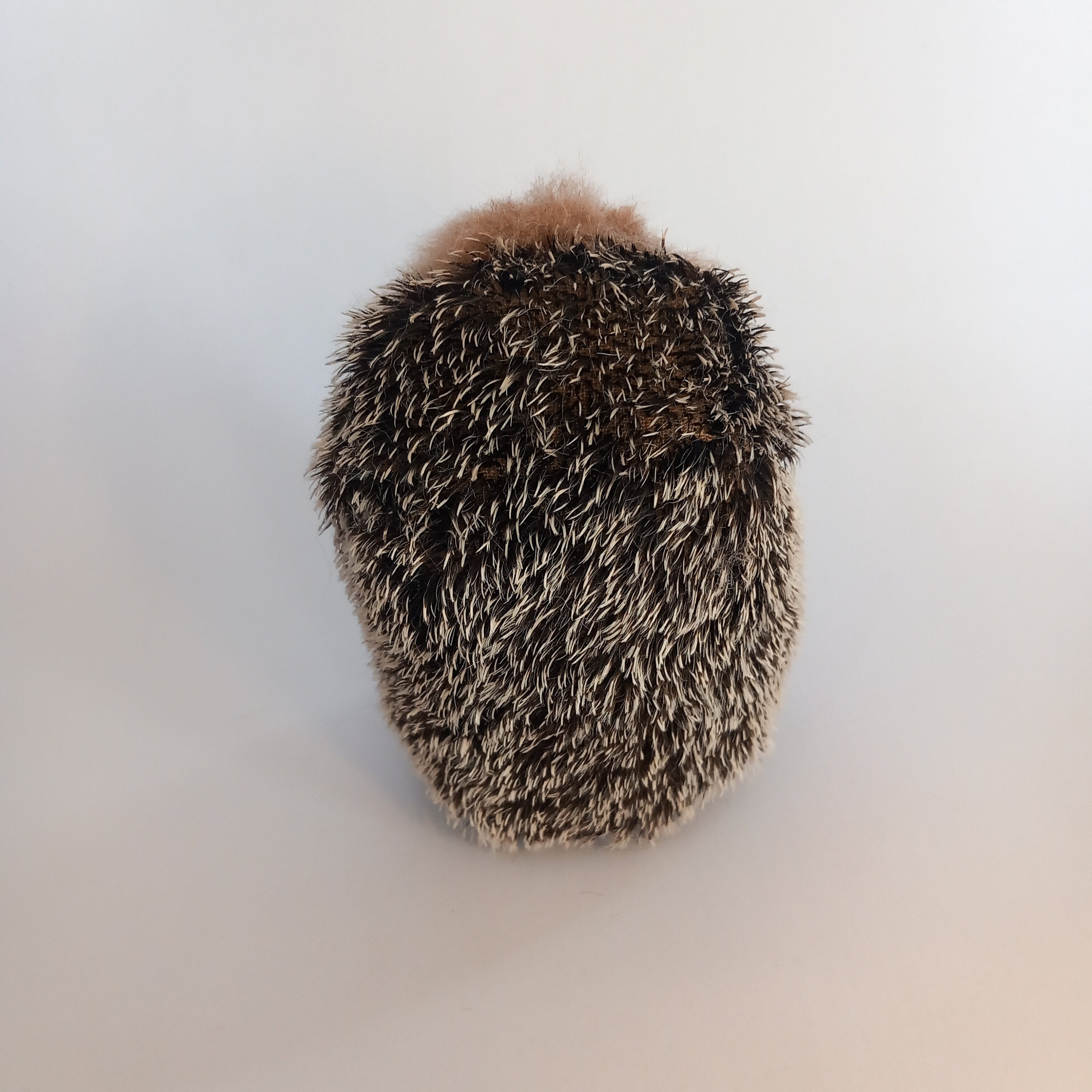 Realistic Hedgehog Art Sculpture, Hedgehog Gift, Wildlife Art, Cute ...