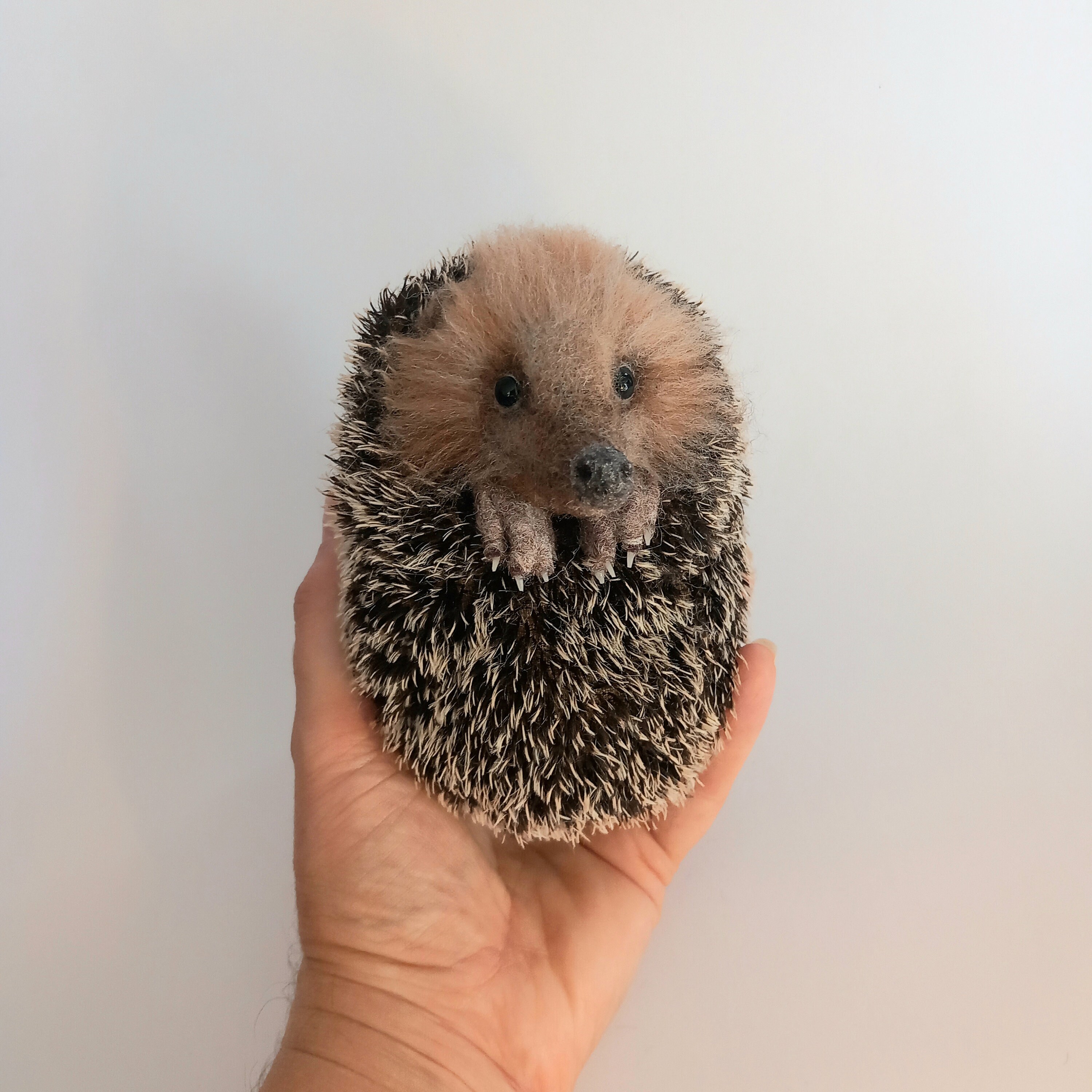 Realistic Hedgehog Art Sculpture Hedgehog Gift Wildlife Art - Etsy