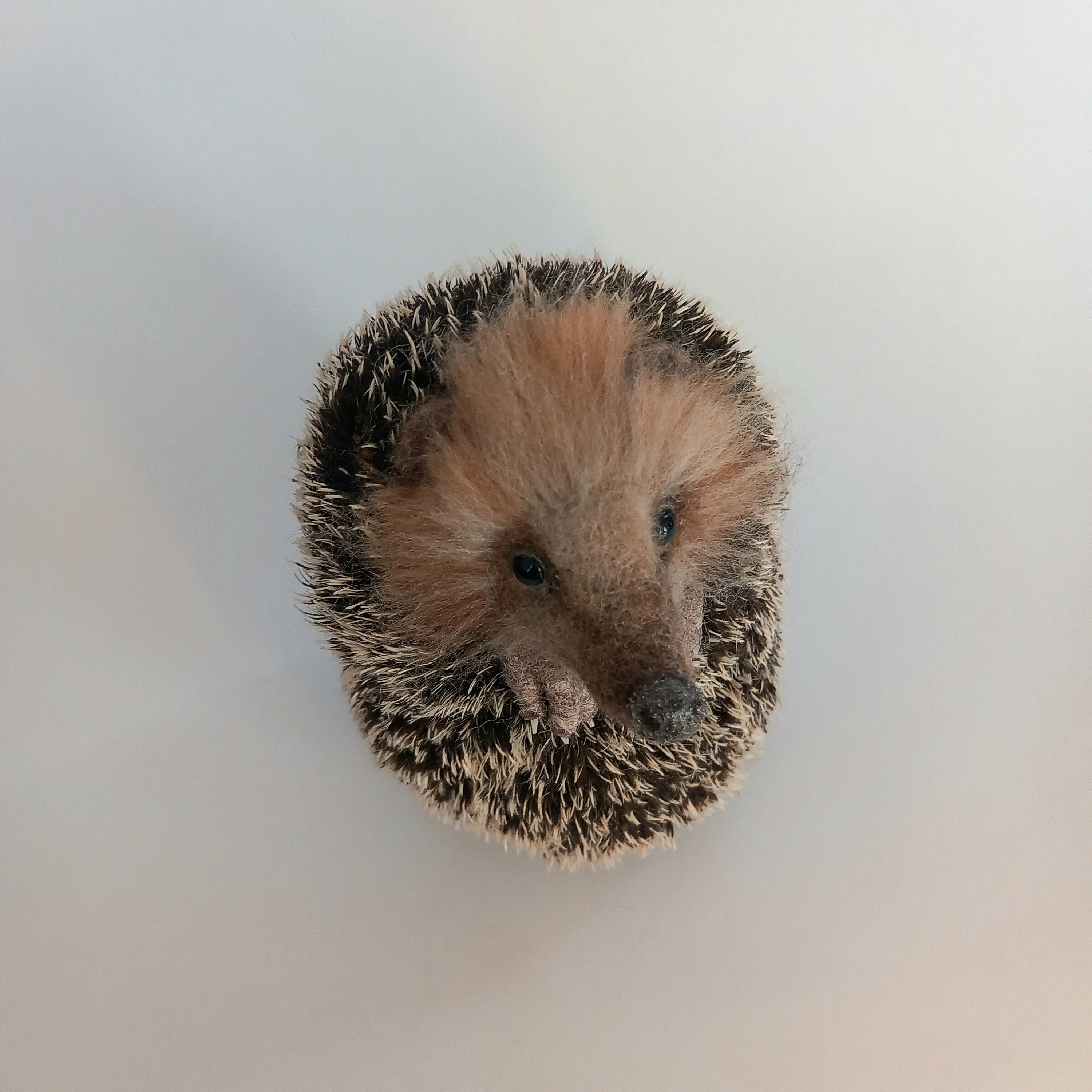 Realistic Hedgehog Art Sculpture Hedgehog Gift Wildlife Art - Etsy