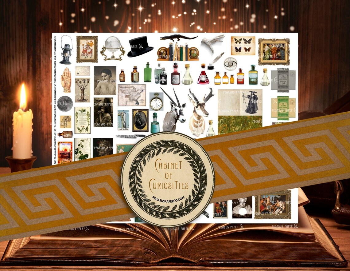 Cabinet of Curiosities A Printable Junk Journal Craft Kit - Etsy Canada
