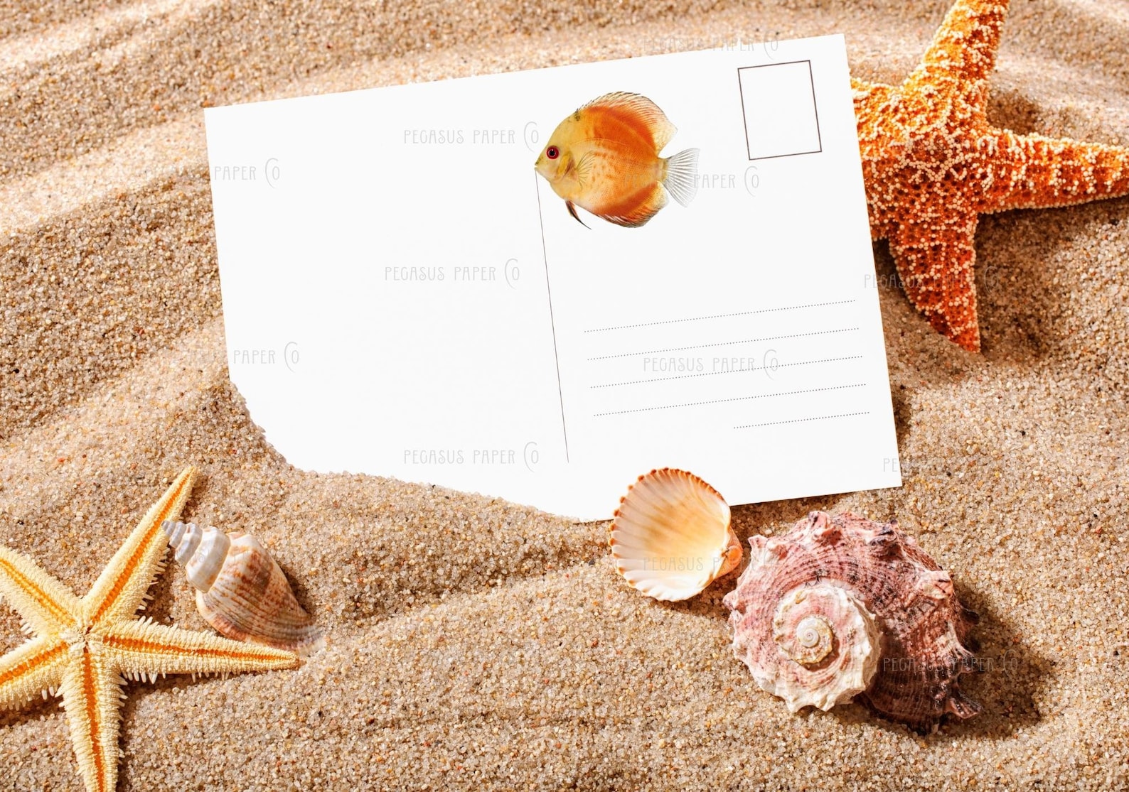 Tropical Fish Fussy Cut Junk Journal Add-on Pack Printable - Etsy