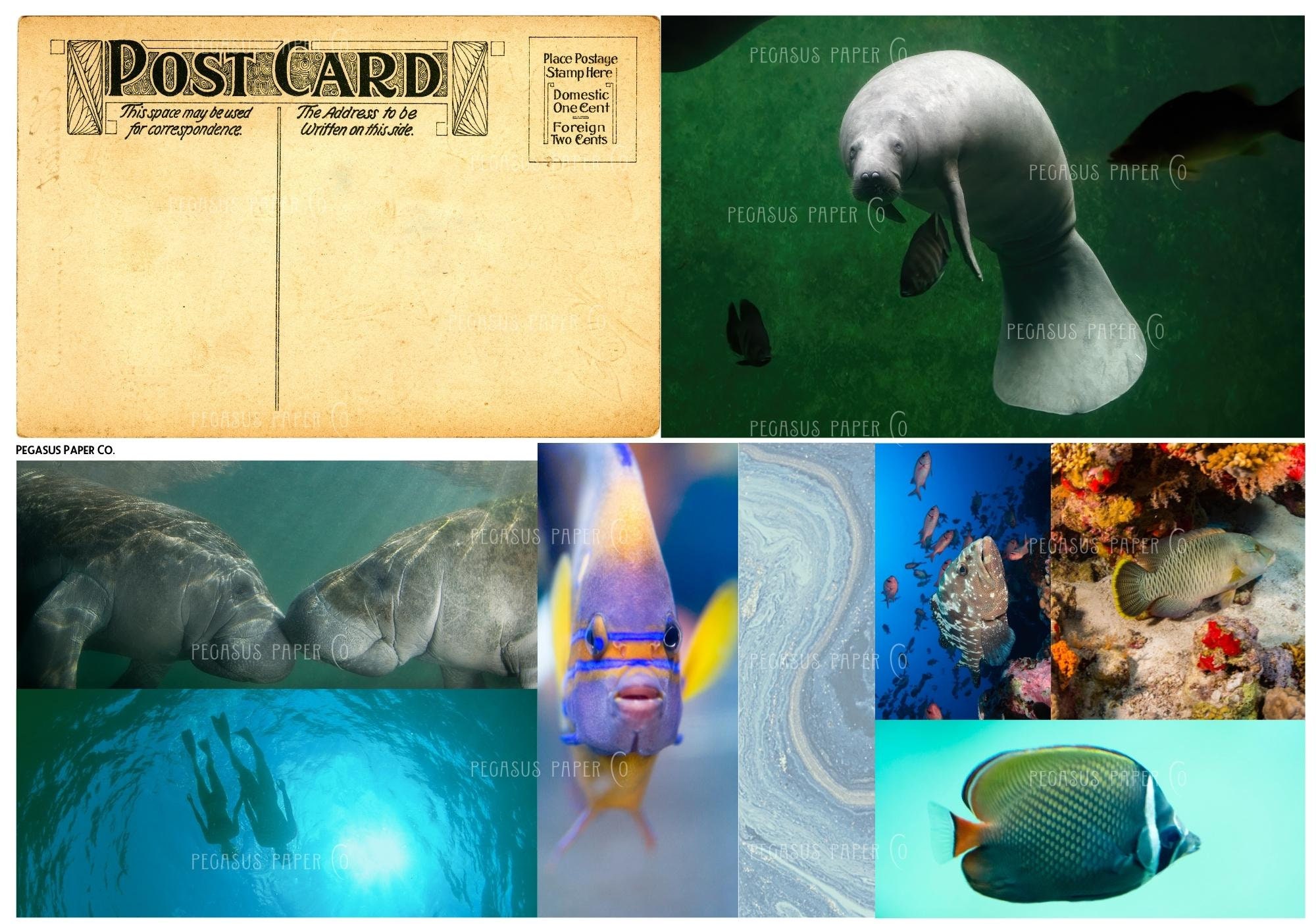 Tropical Fish Fussy Cut Junk Journal Add-on Pack Printable | Etsy