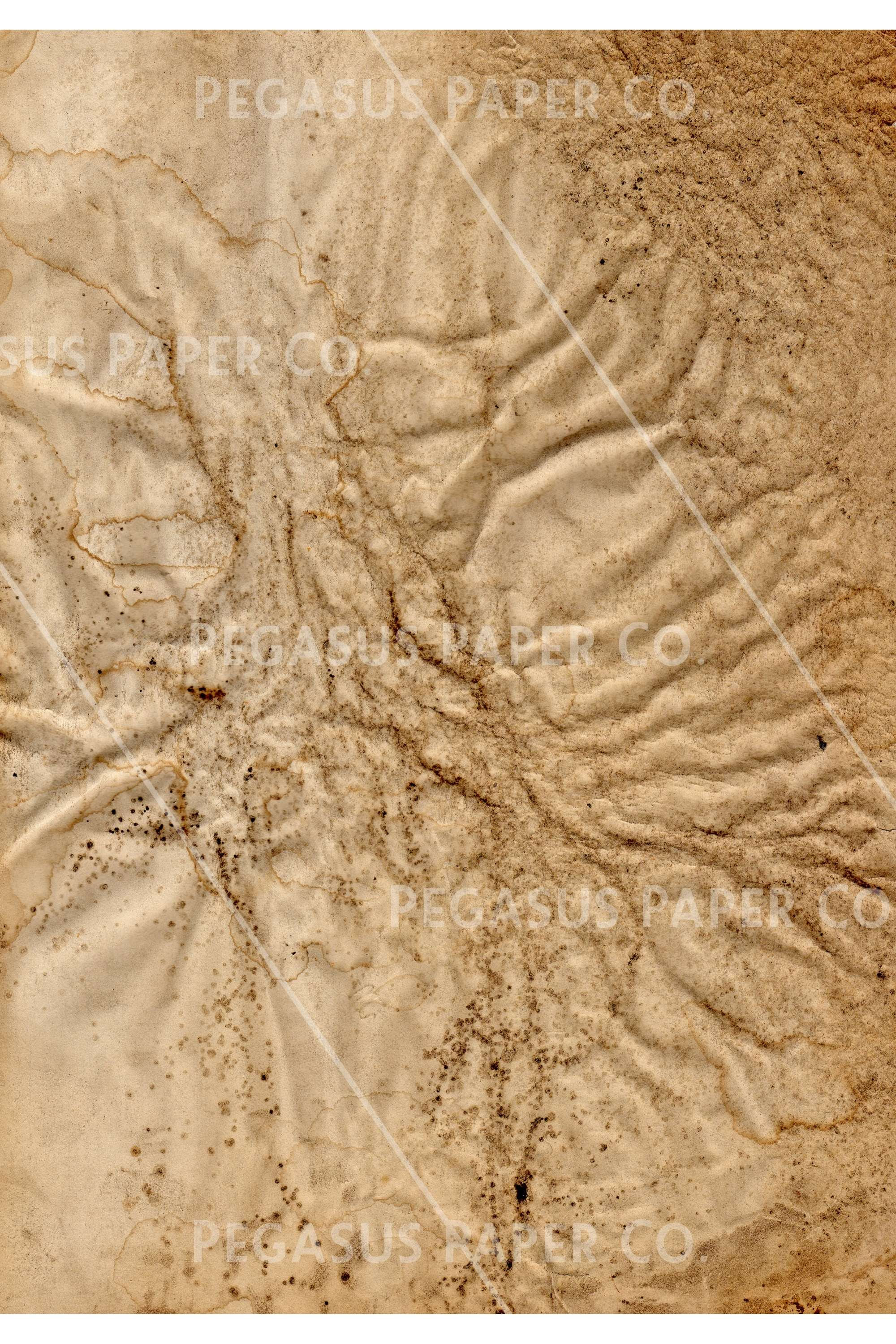 Fantasy Map Background Texture of Deeply Wrinkled Vintage Paper - Etsy