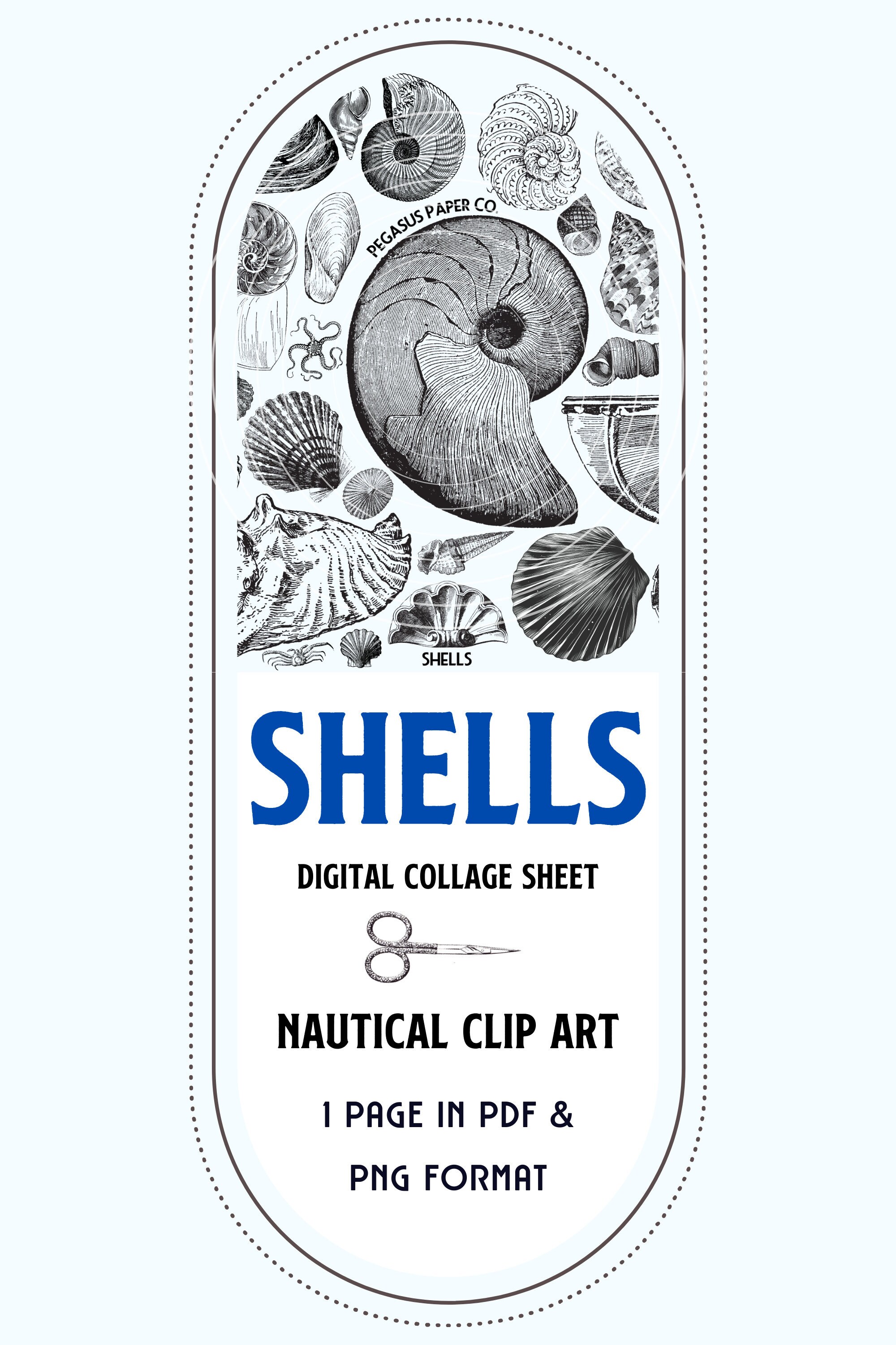 Clipart Shells Digital Collage Sheet of Fussycut Starfish Conch ...