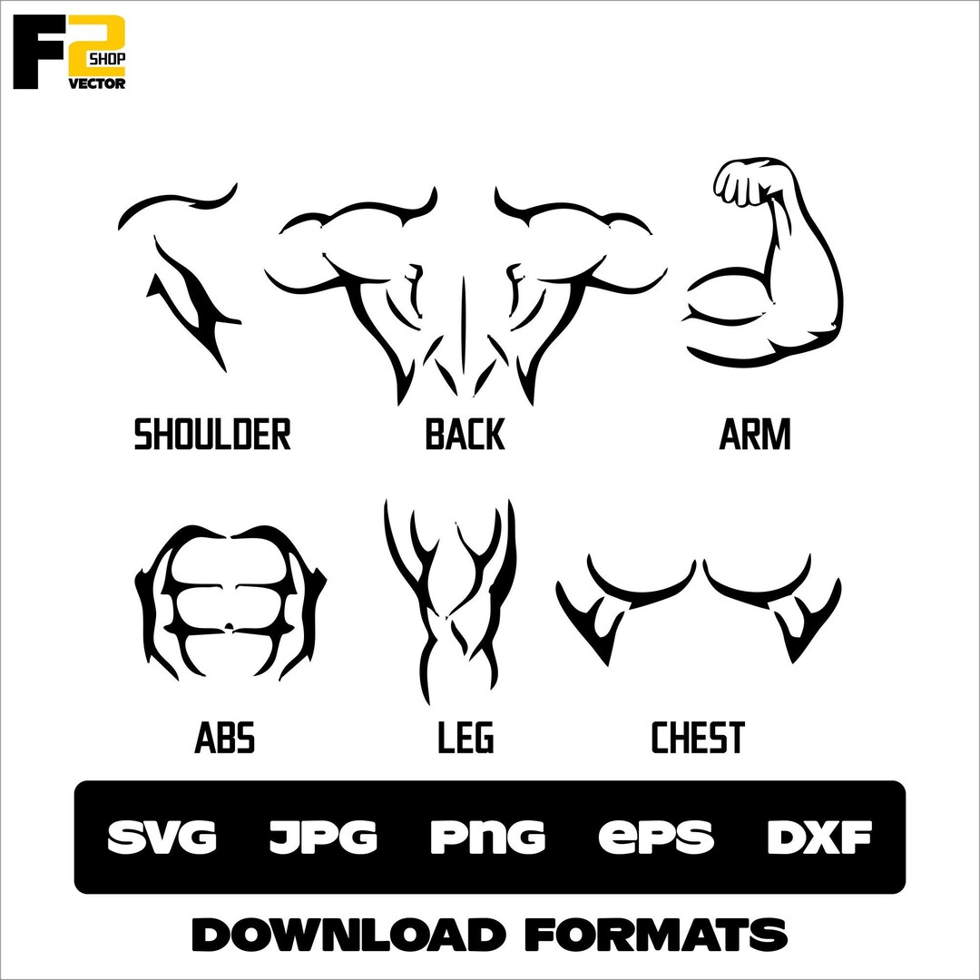Muscle Collection Svg Human Muscles Svg Arm Muscle Svg Biceps Svg Chest ...