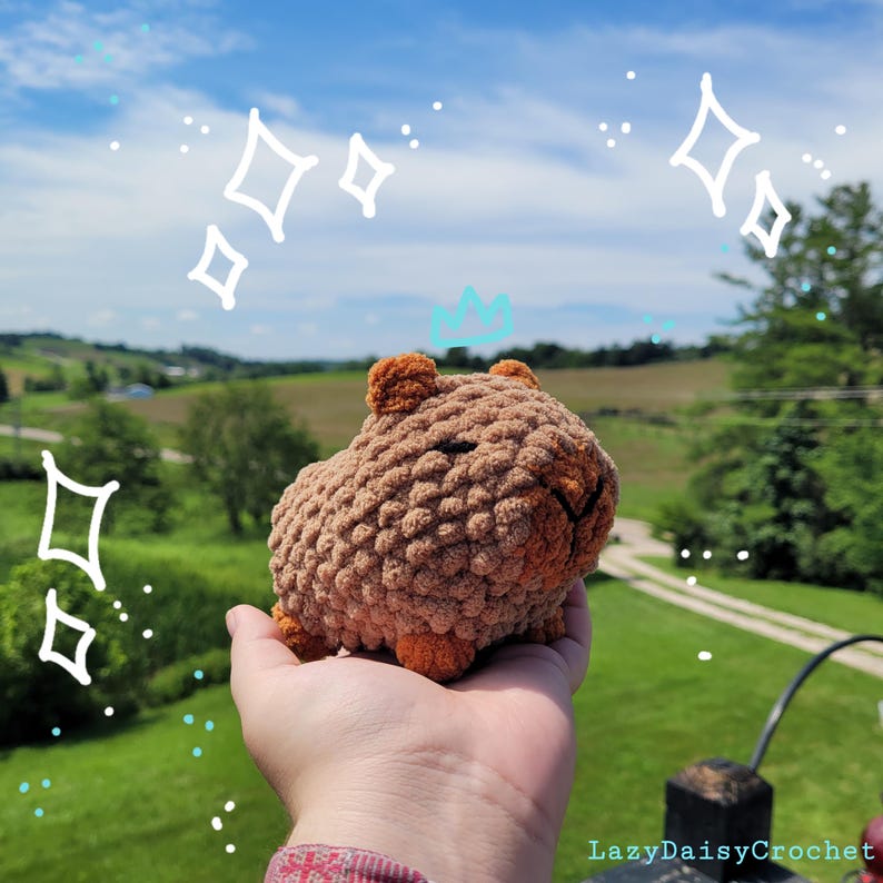 Handmade Crochet Capybara Plushie: Stuffed Polyester Toy - Etsy