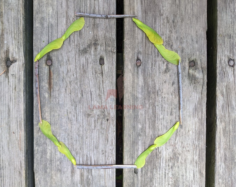 Nature Shapes Flashcards Kindergarten Cards Montessori - Etsy