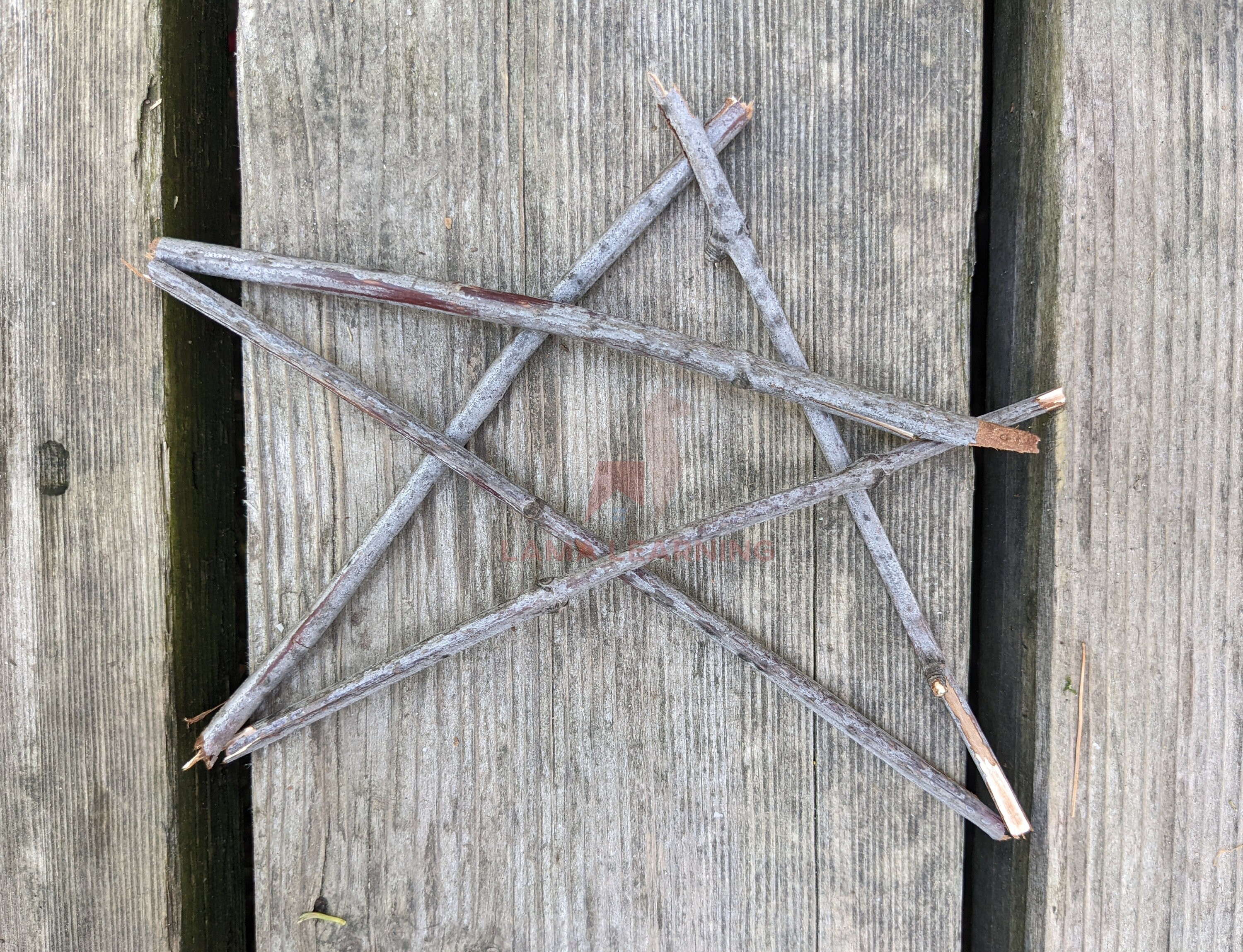 Nature Shapes Flashcards Kindergarten Cards Montessori - Etsy