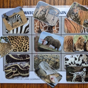 Animals Matching Skin Pattern Learning Game Toddler Pre-k - Etsy