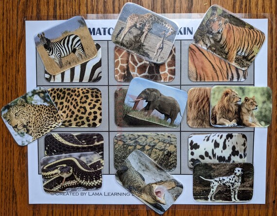Animals Matching Skin Pattern Learning Game Toddler Pre-k - Etsy