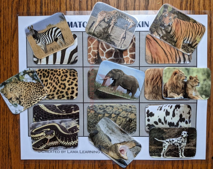 Animals Matching Skin Pattern Learning Game, Toddler, Pre-k ...