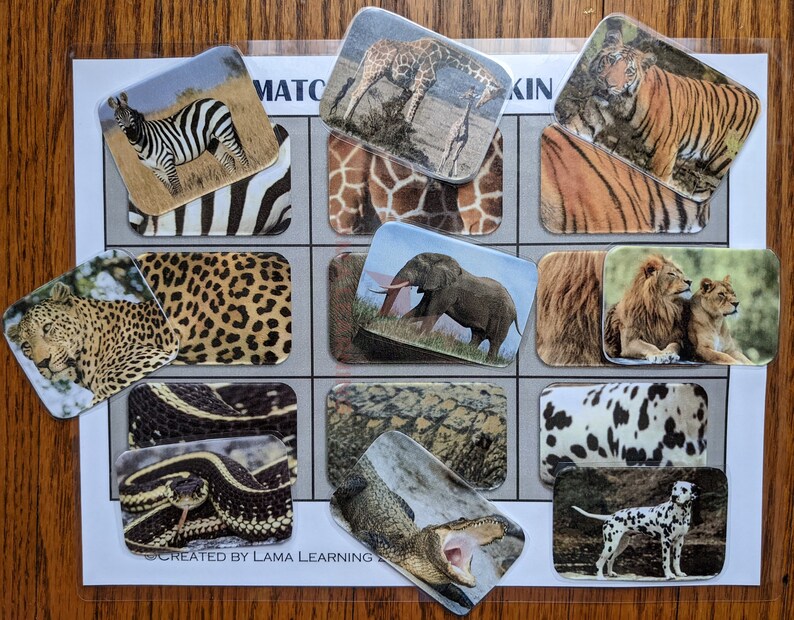 Animals Matching Skin Pattern Learning Game, Toddler, Pre-k ...