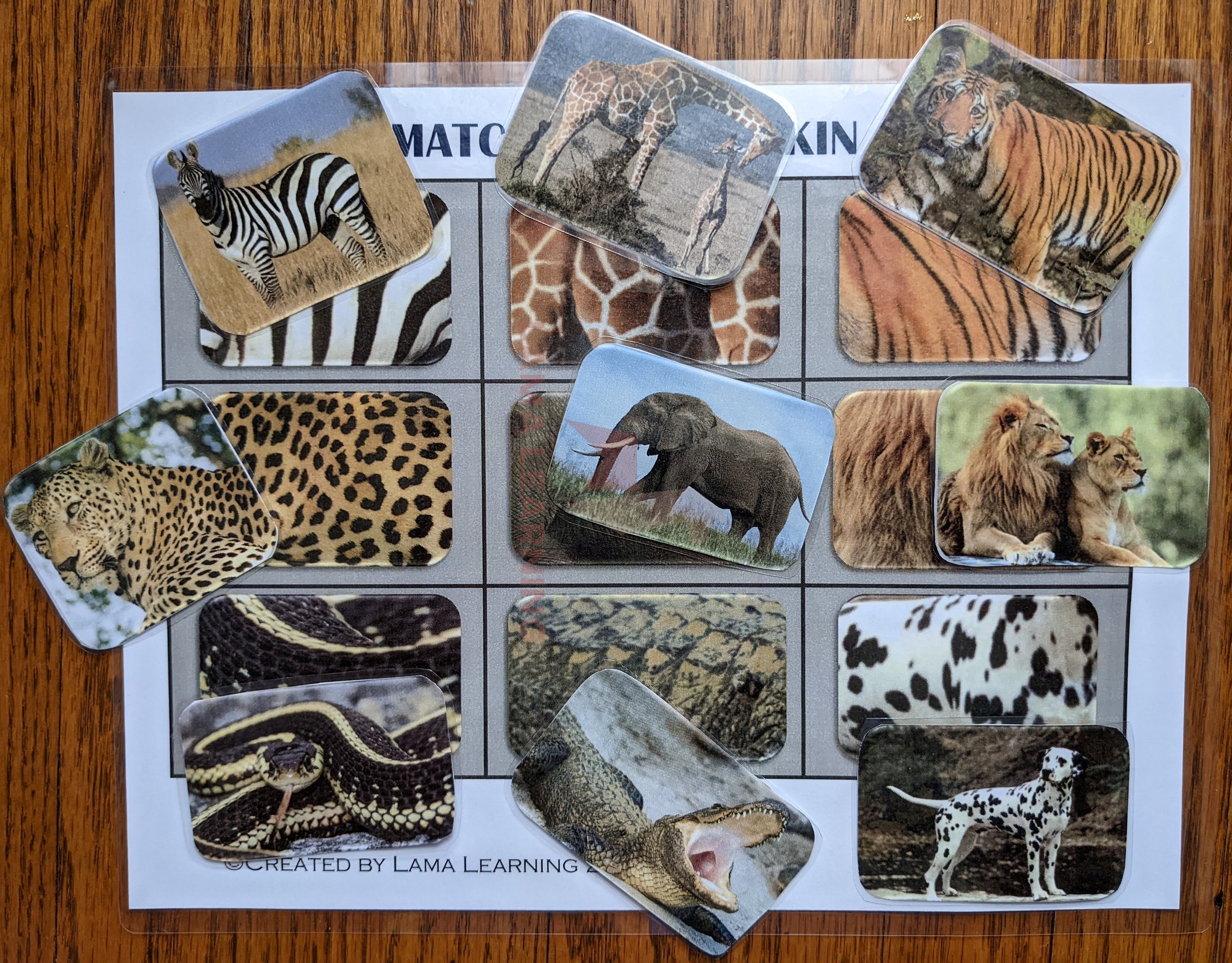 Animals Matching Skin Pattern Learning Game, Toddler, Pre-k ...