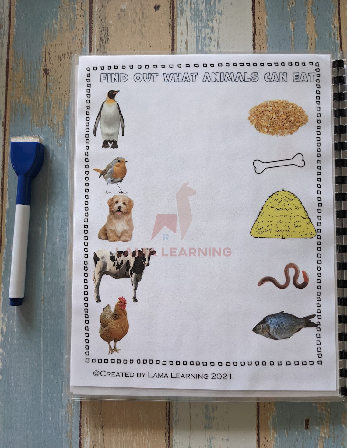 Fruits Vegetables Busy Book Activities Shadow Matching - Etsy