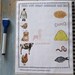 Fruits Vegetables Busy Book Activities Shadow Matching - Etsy