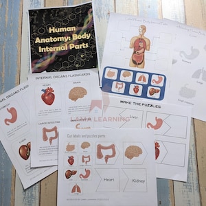 Human Body Pre-k Kindergarten Activity Printable, Homeschool, About Me ...