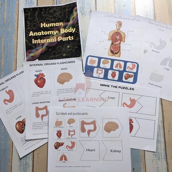 Printable Anatomy Lesson for Kids - Etsy