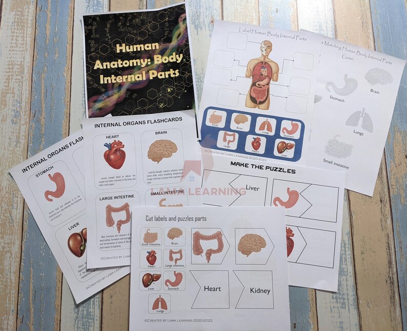 Human Body Pre-k Kindergarten Activity Printable, Homeschool, About Me ...