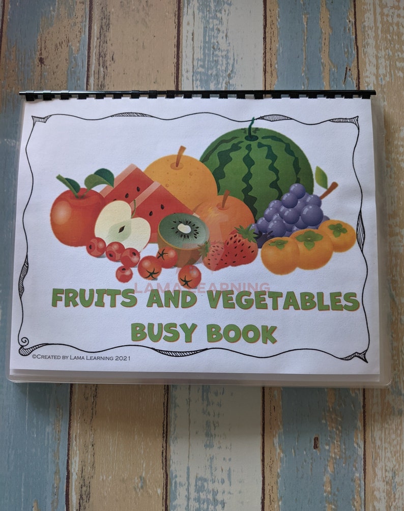 Fruits Vegetables Busy Book Activities Shadow Matching - Etsy