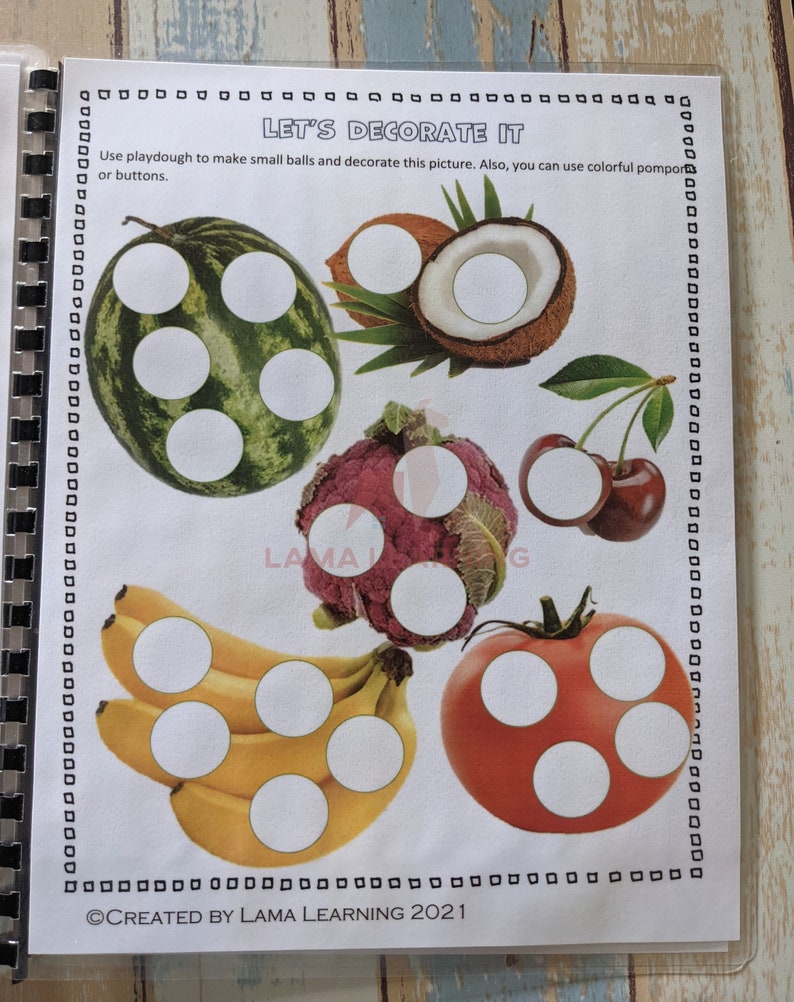 Fruits Vegetables Busy Book Activities Shadow Matching - Etsy