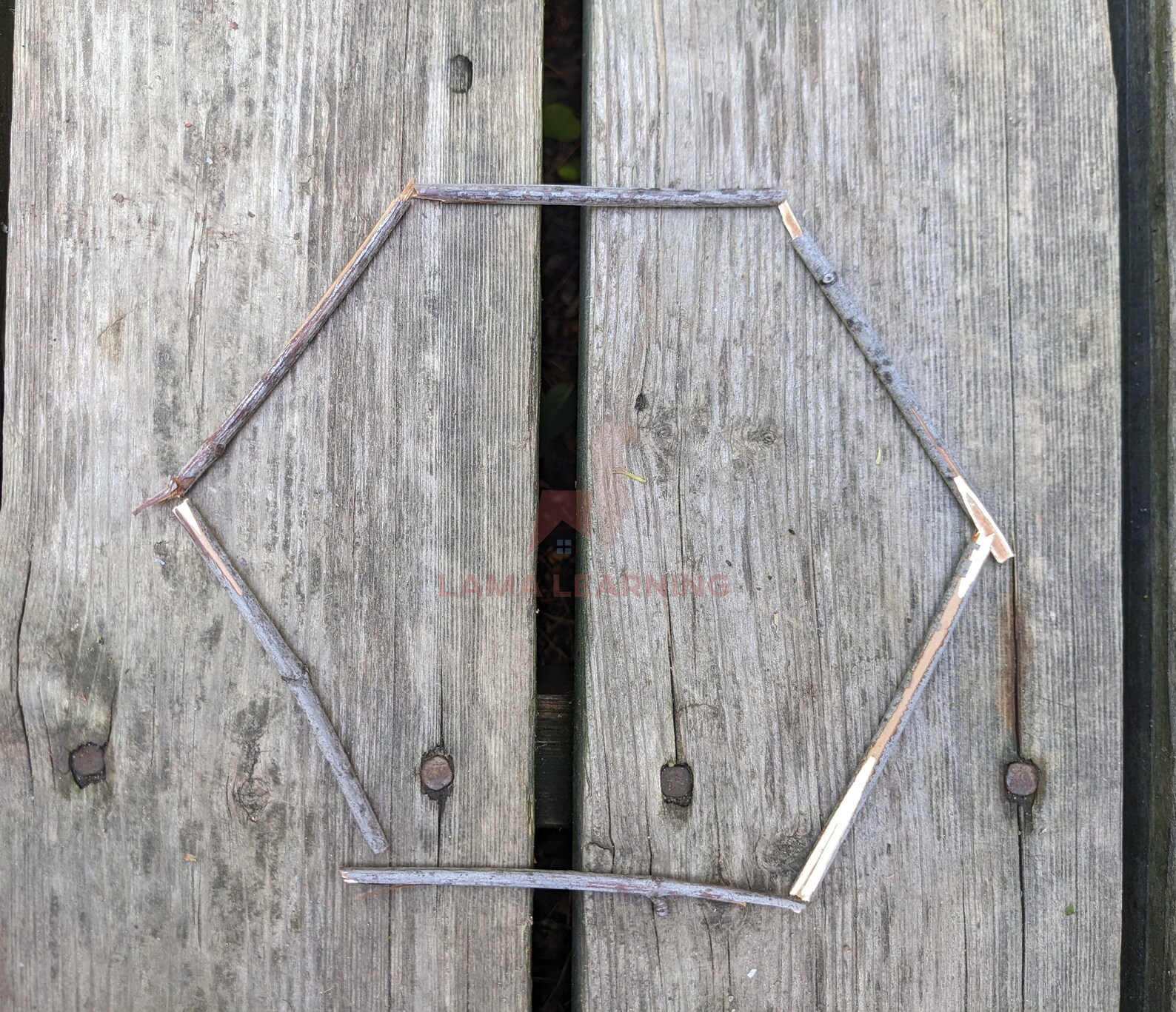 Nature Shapes Flashcards Kindergarten Cards Montessori - Etsy